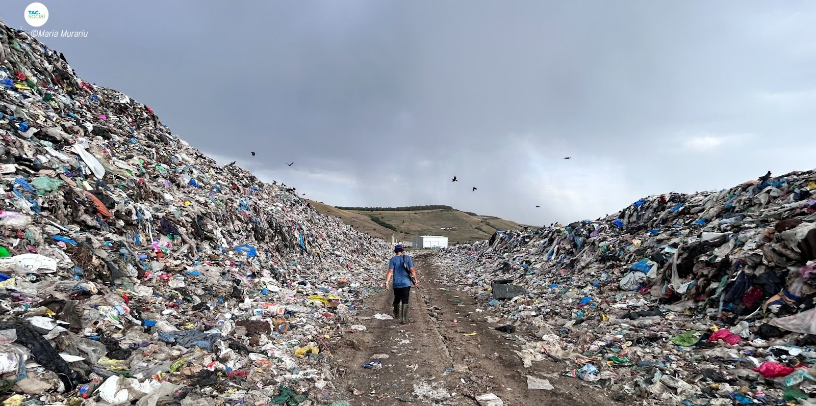 FOTOREPORTAJ: Pata de pe stelele Clujului. Pata Rât.
